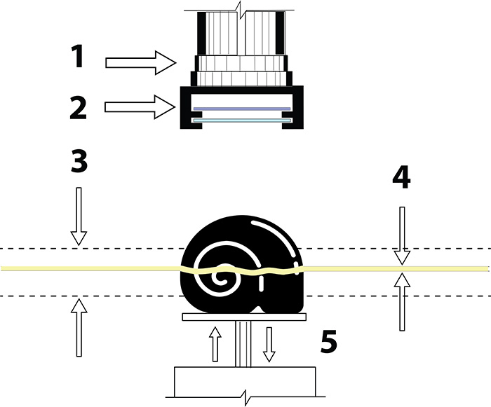Scanning Light Photomacrography - Home